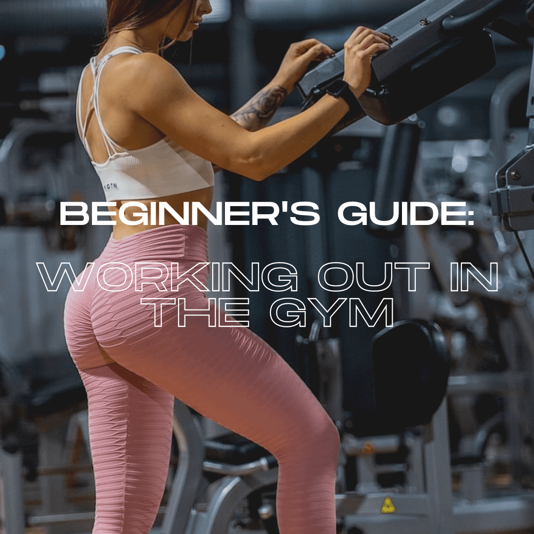 A Beginner's Guide to Working Out in the Gym – Avvini Athletica
